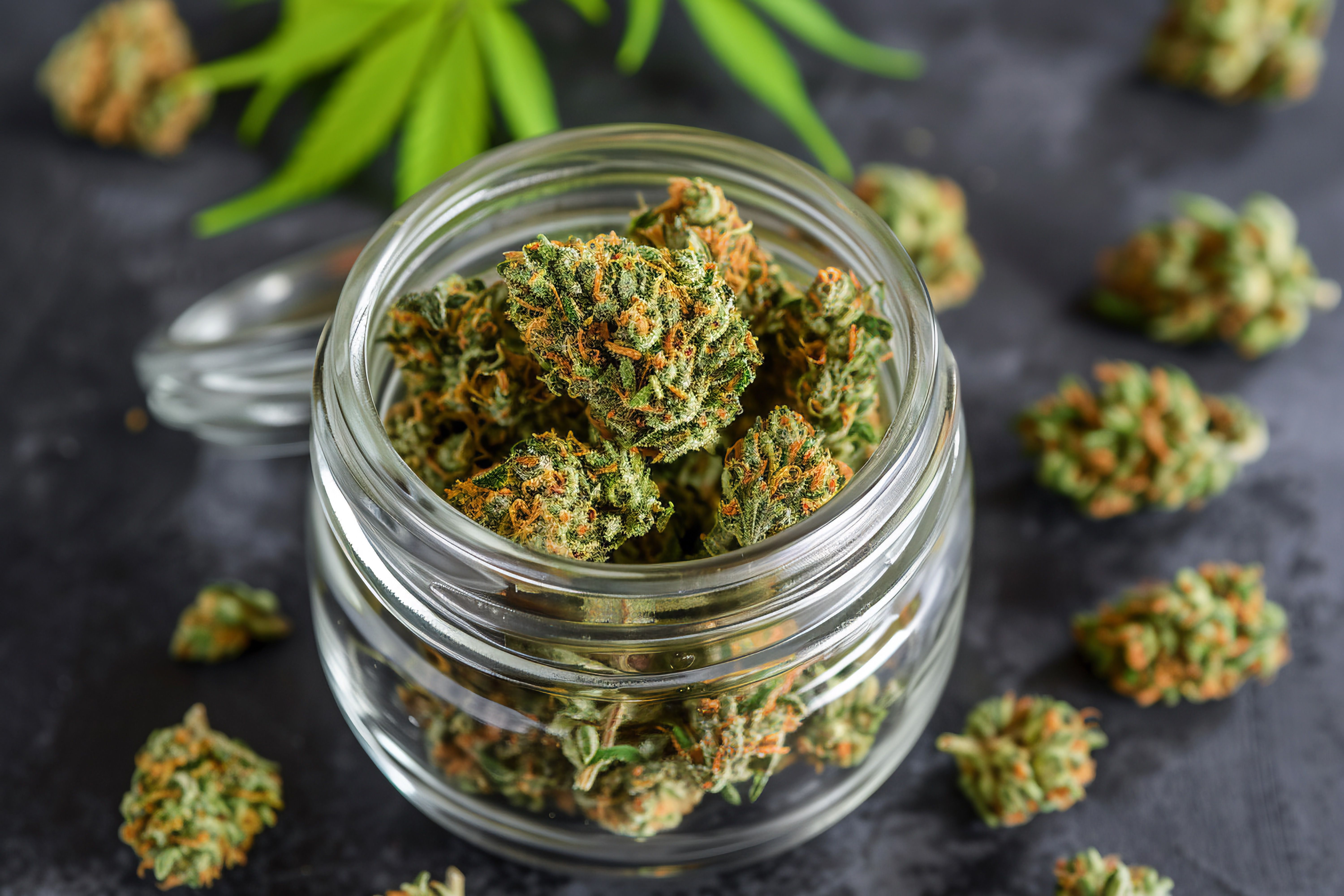 Em Barcelona, 30 clubes de cannabis são notificados par...