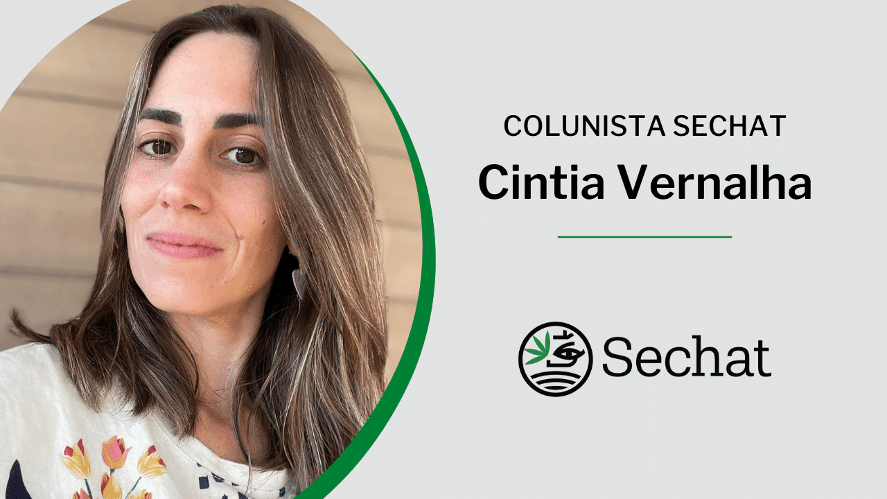 Cannabis - um mercado em crise?