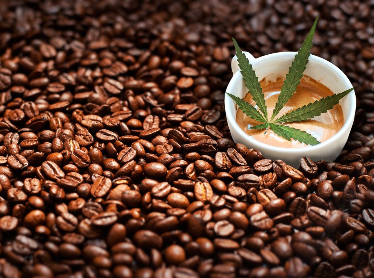 Café e cannabis: mais semelhanças do que você imagina